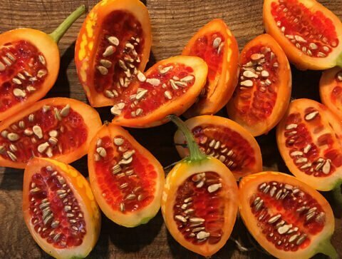 Seed saving and new perennial crops • Incredible Vegetables